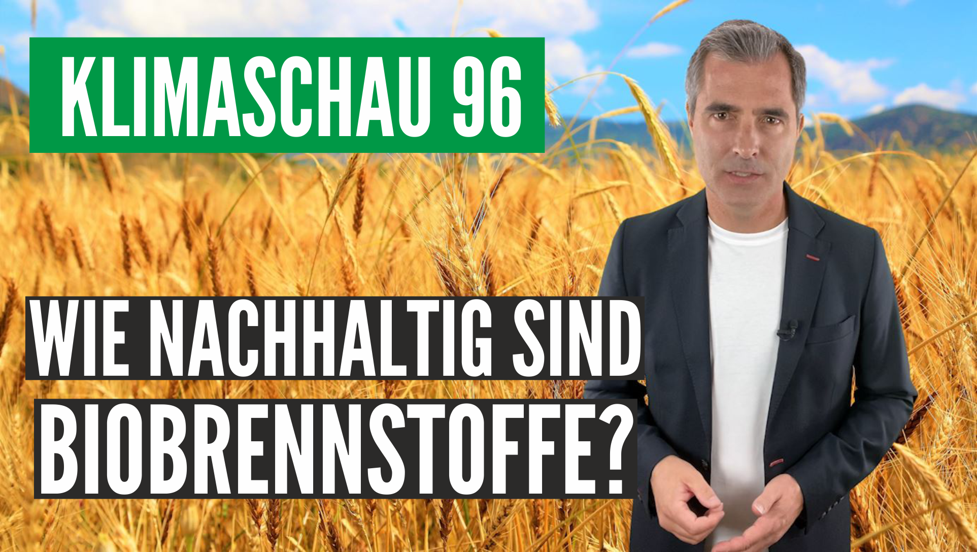 Die Klimaschau von Sebastian Lüning: Wie nachhaltig sind Biobrennstoffe wirklich? - EIKE ...