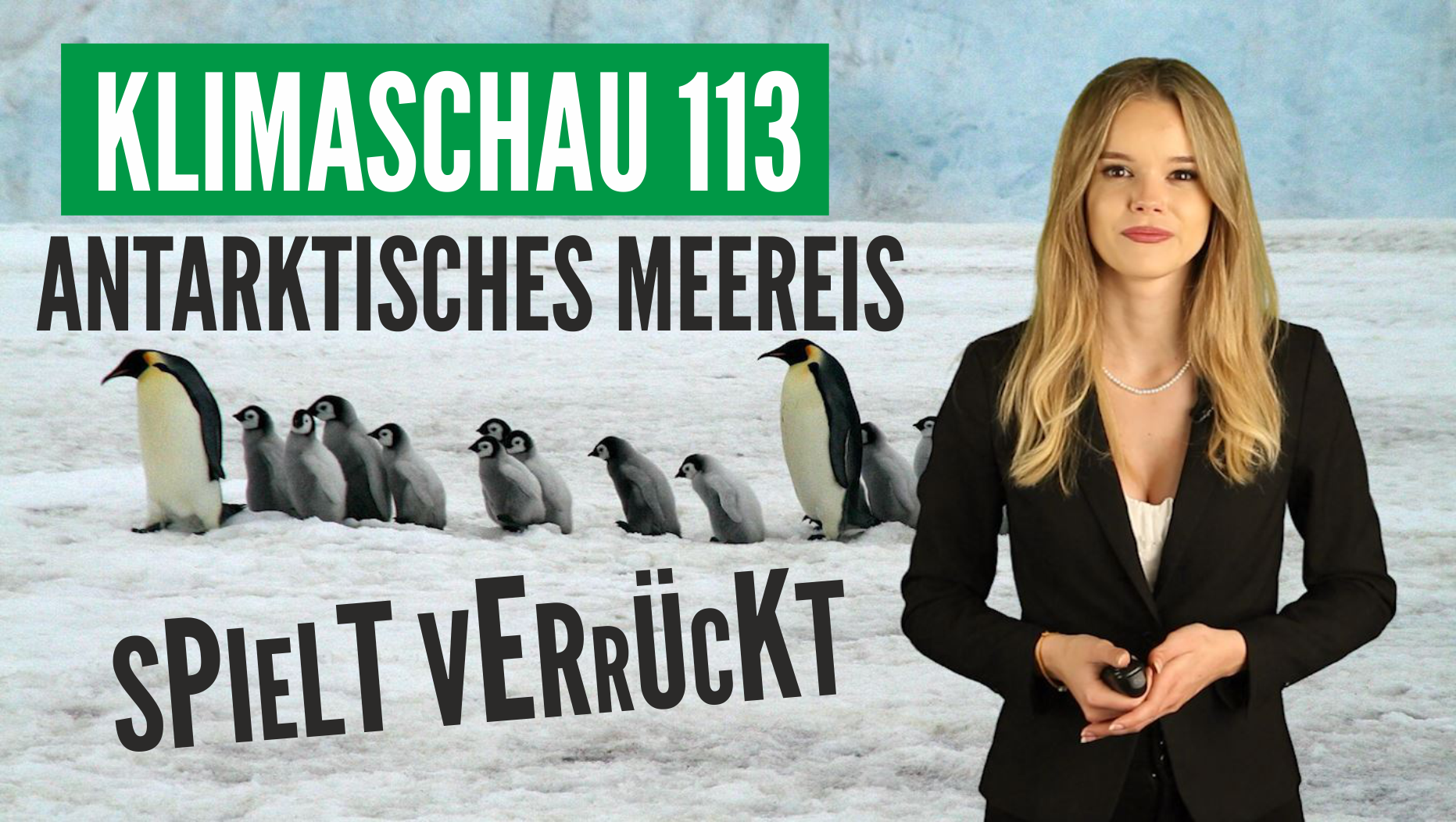 Die Klimaschau 113 - Antarktisches Meereis: Unberechenbar und voller Rätsel - EIKE ...